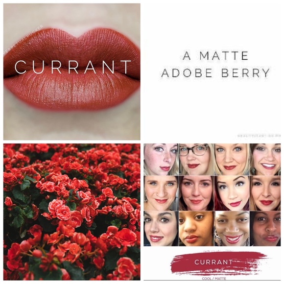 LipSense | Makeup | New Sealed Senegence Lipsense Color Currant | Poshmark